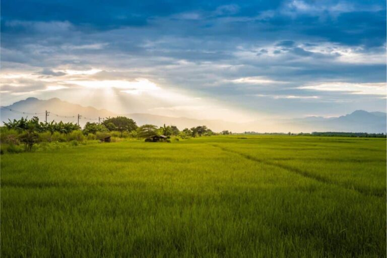 What Is Raw Land? Understanding Its Value in 2026